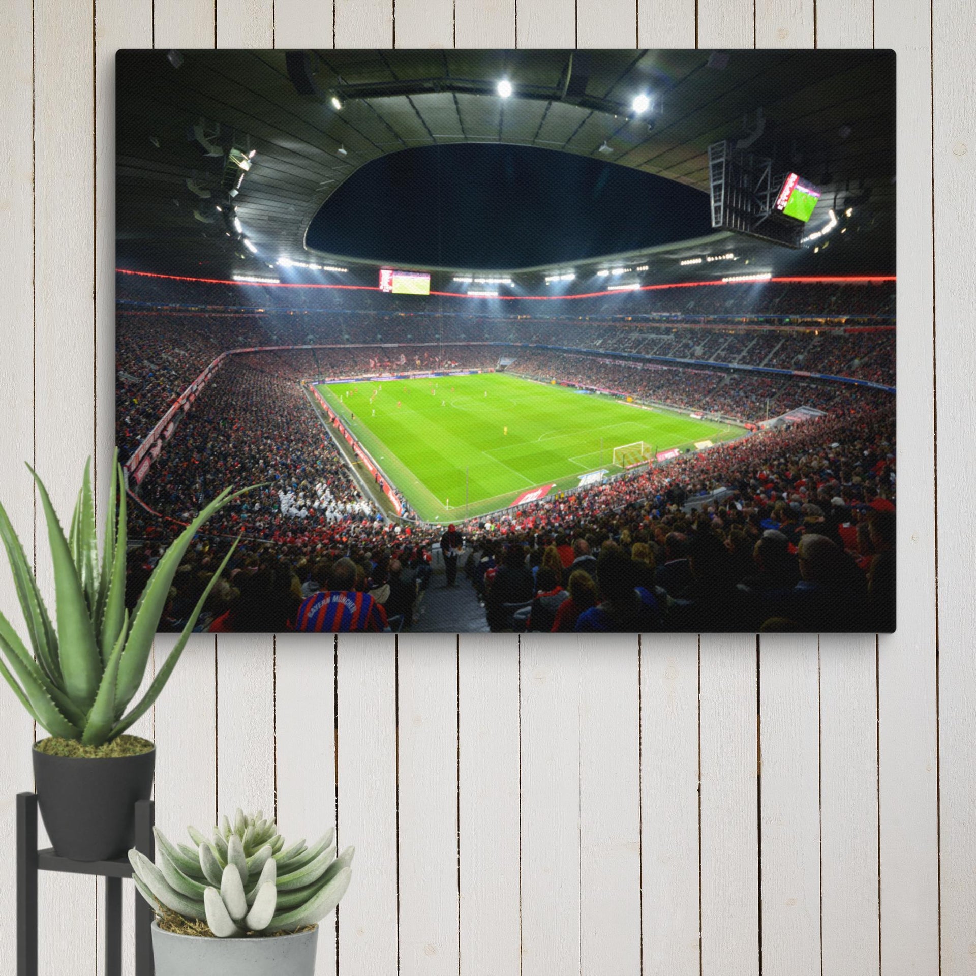 Canvas – Stadium Vagabond
